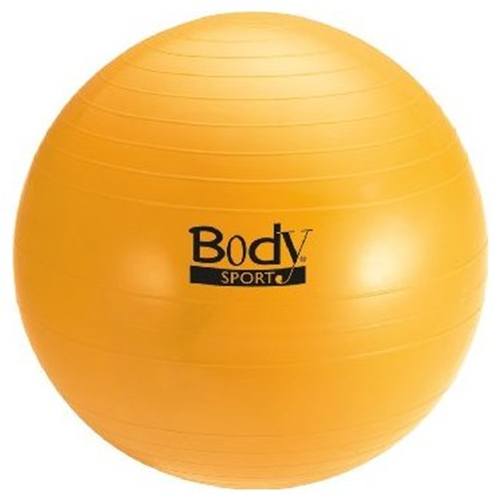 Body Sport Exercise Ball at HealthyKin.com