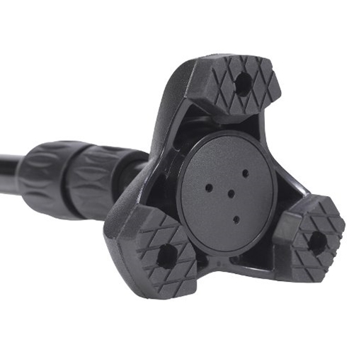 Flex 'N Go Cane at HealthyKin.com