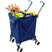 VersaCart Folding Utility Transit Cart at HealthyKin.com